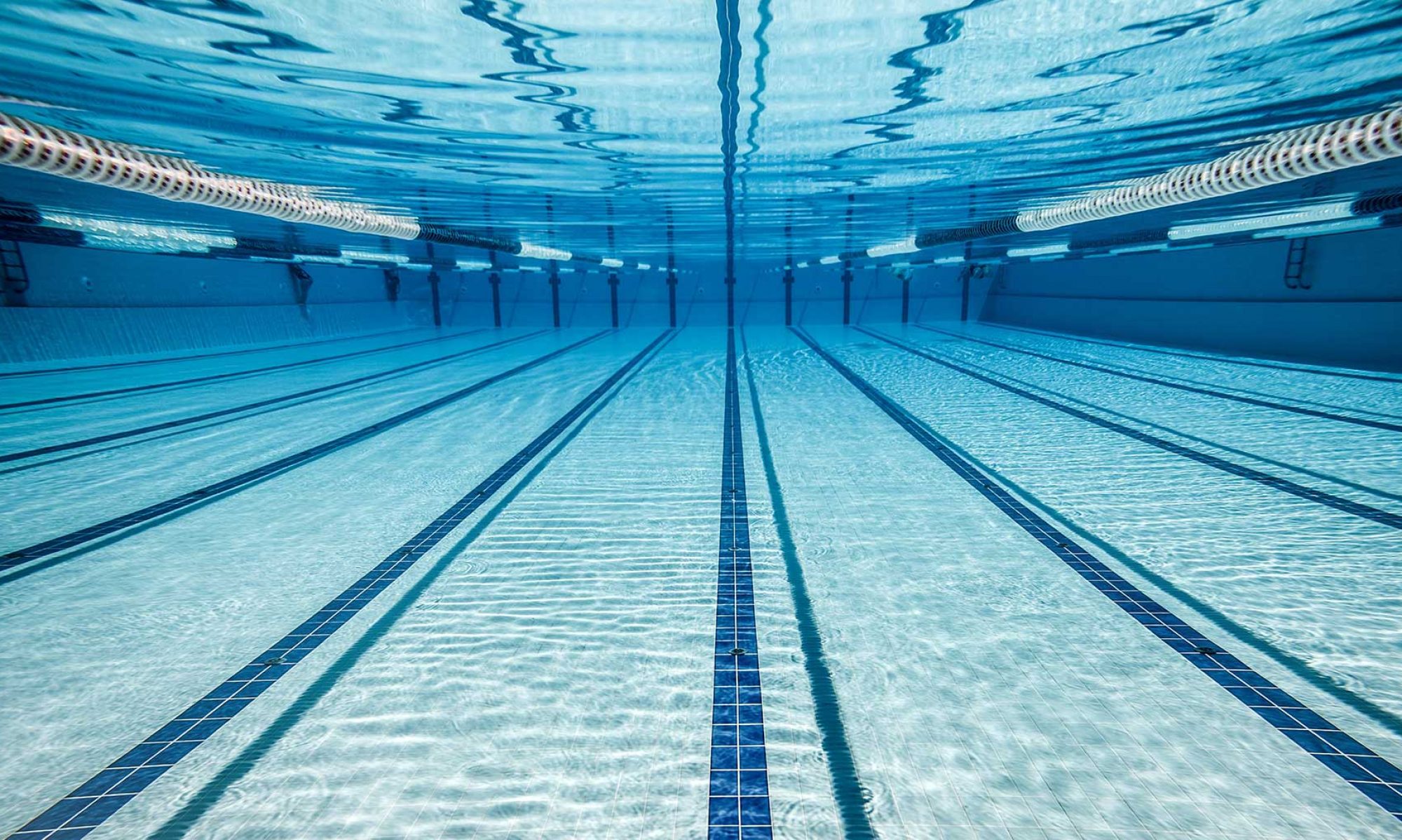 Natación para todos - ¡Anímate!