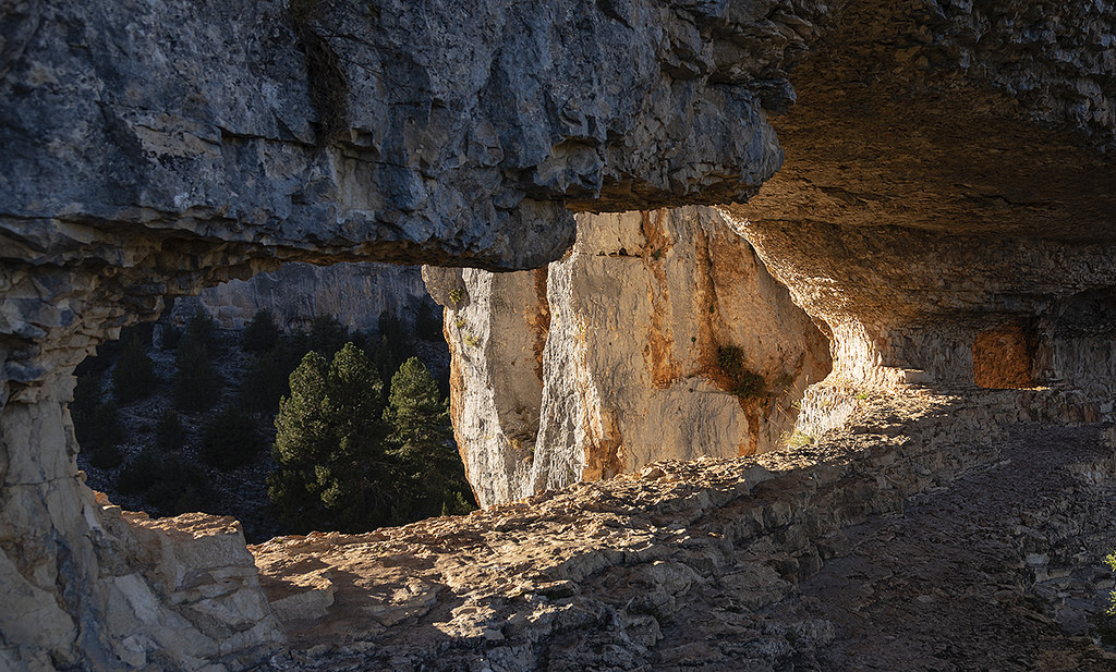 Cañón del Río Lobos - La Postal