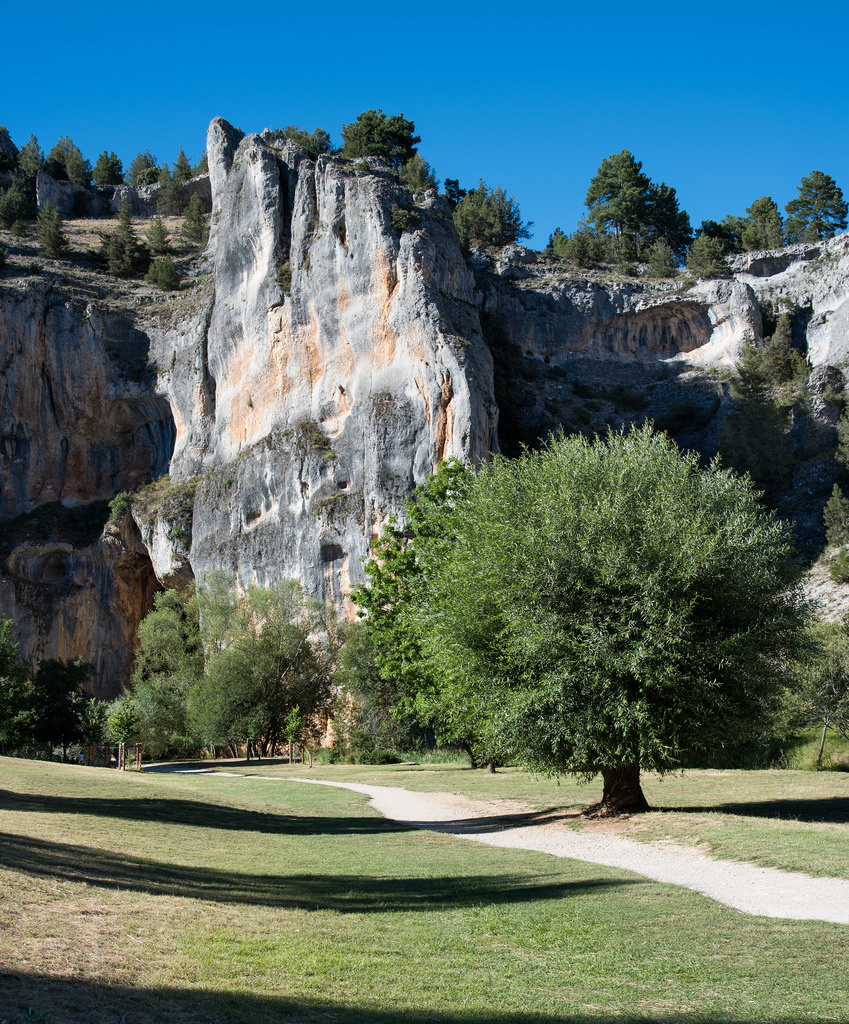 Cañón del Río Lobos - La Postal