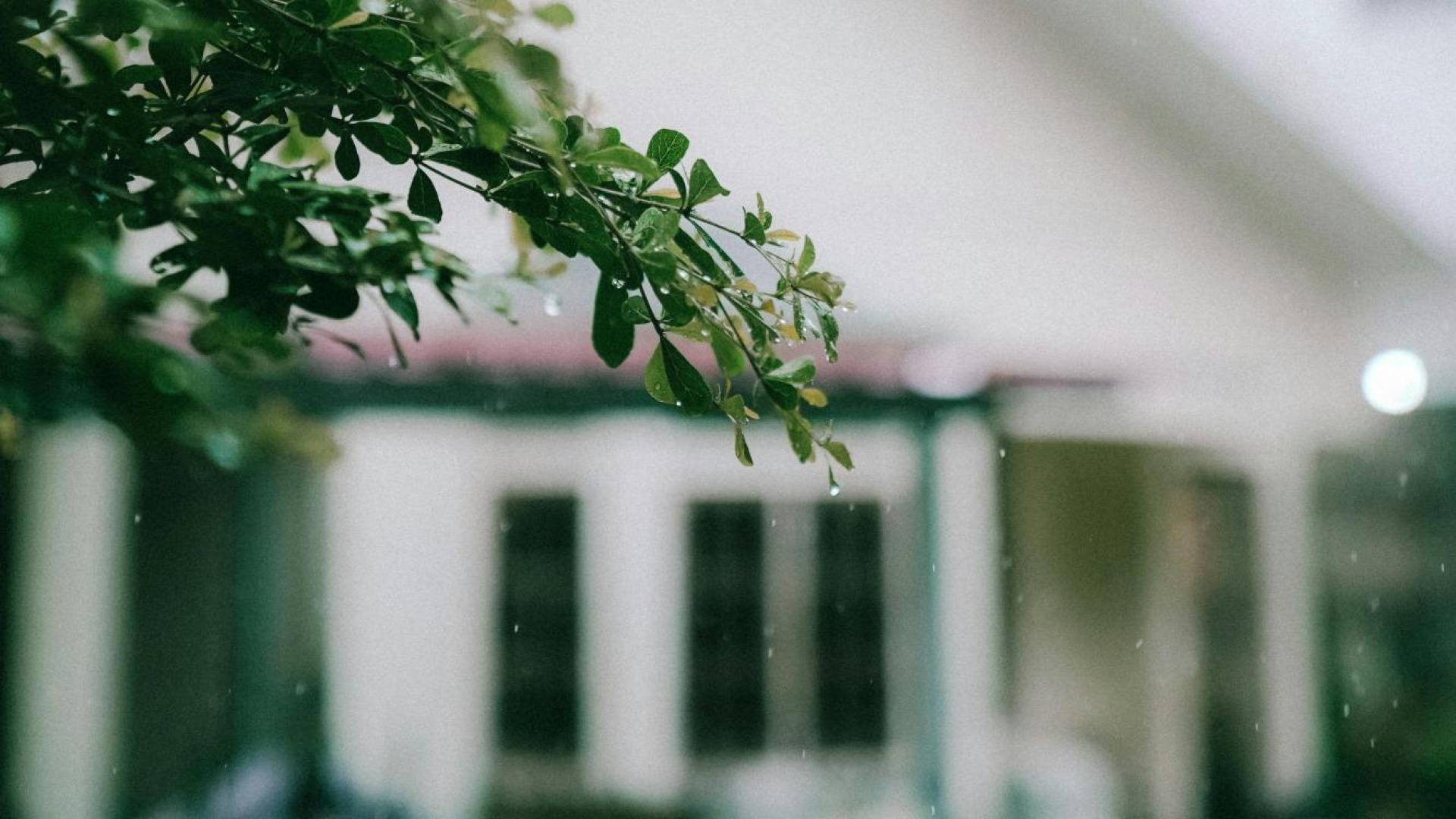 Lluvia y calma: cómo transformar un fin de semana en casa en una ...
