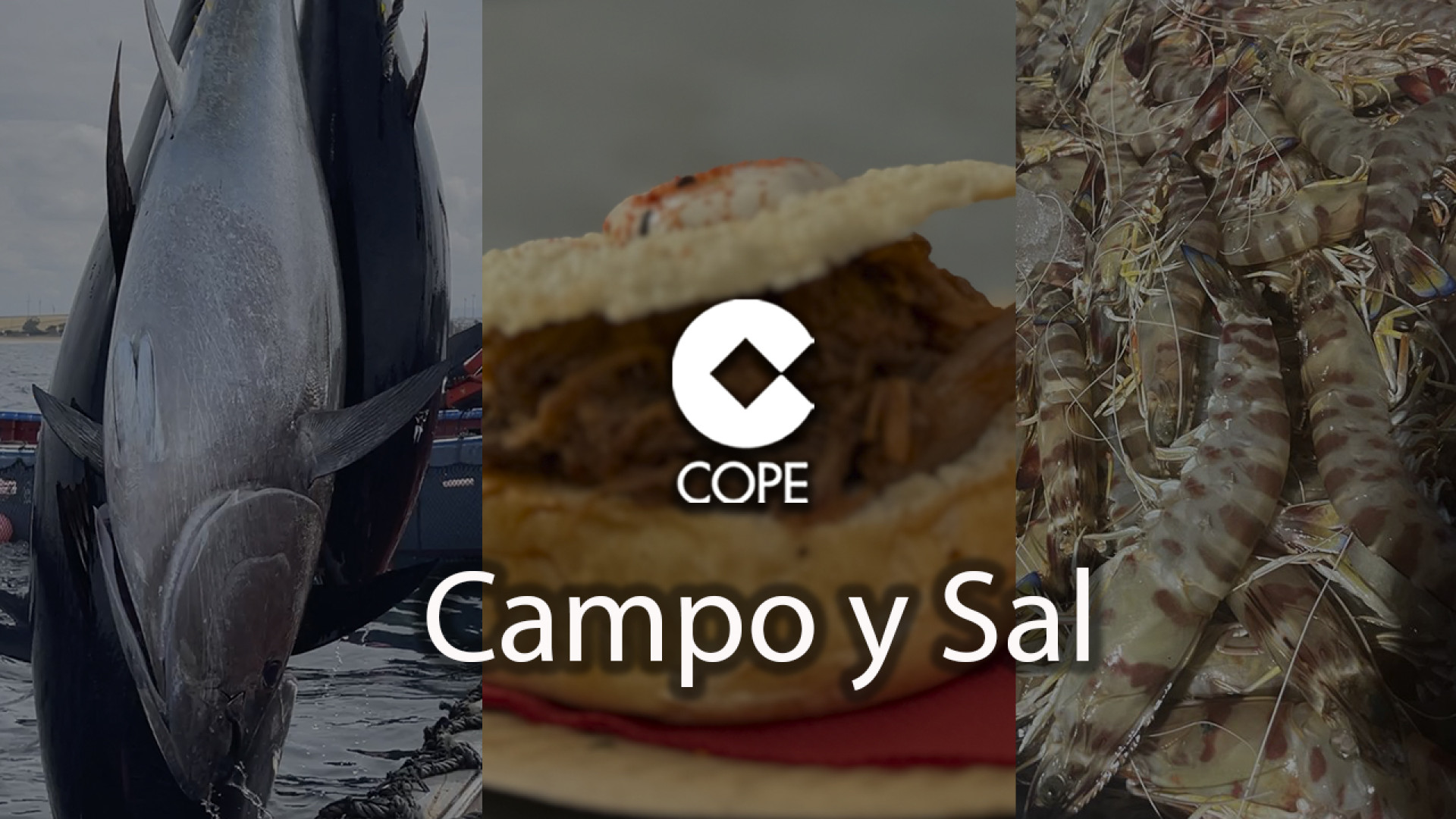 Chupar las cabezas del marisco de Sanlúcar con total tranquilidad