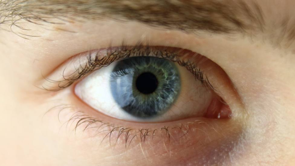 ¿De qué color son tus ojos? Un grupo de científicos descubre cómo ...
