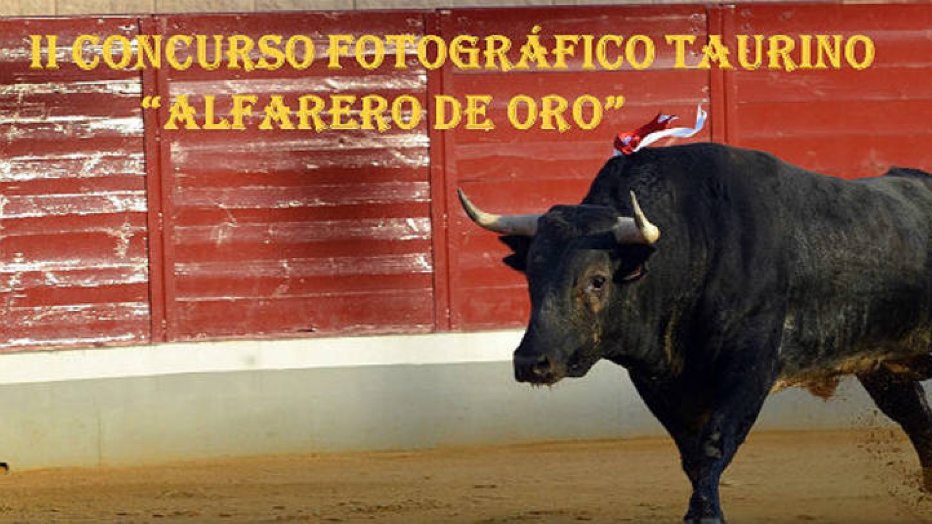 II Concurso de Fotografía Taurina de Villaseca