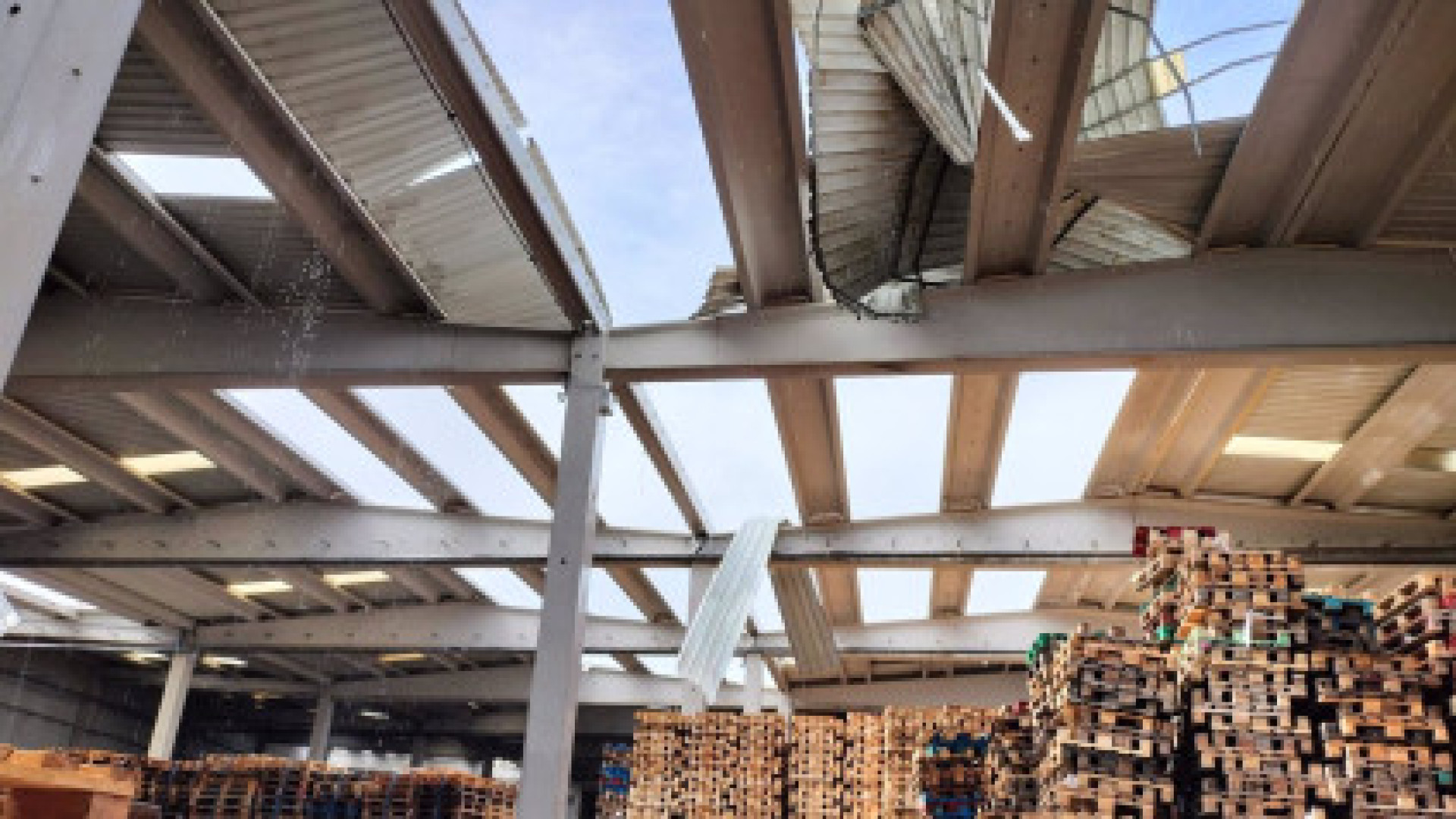 Un impresionante ´cap de fibló´ causa el pánico en Mallorca: "Ha volado ...