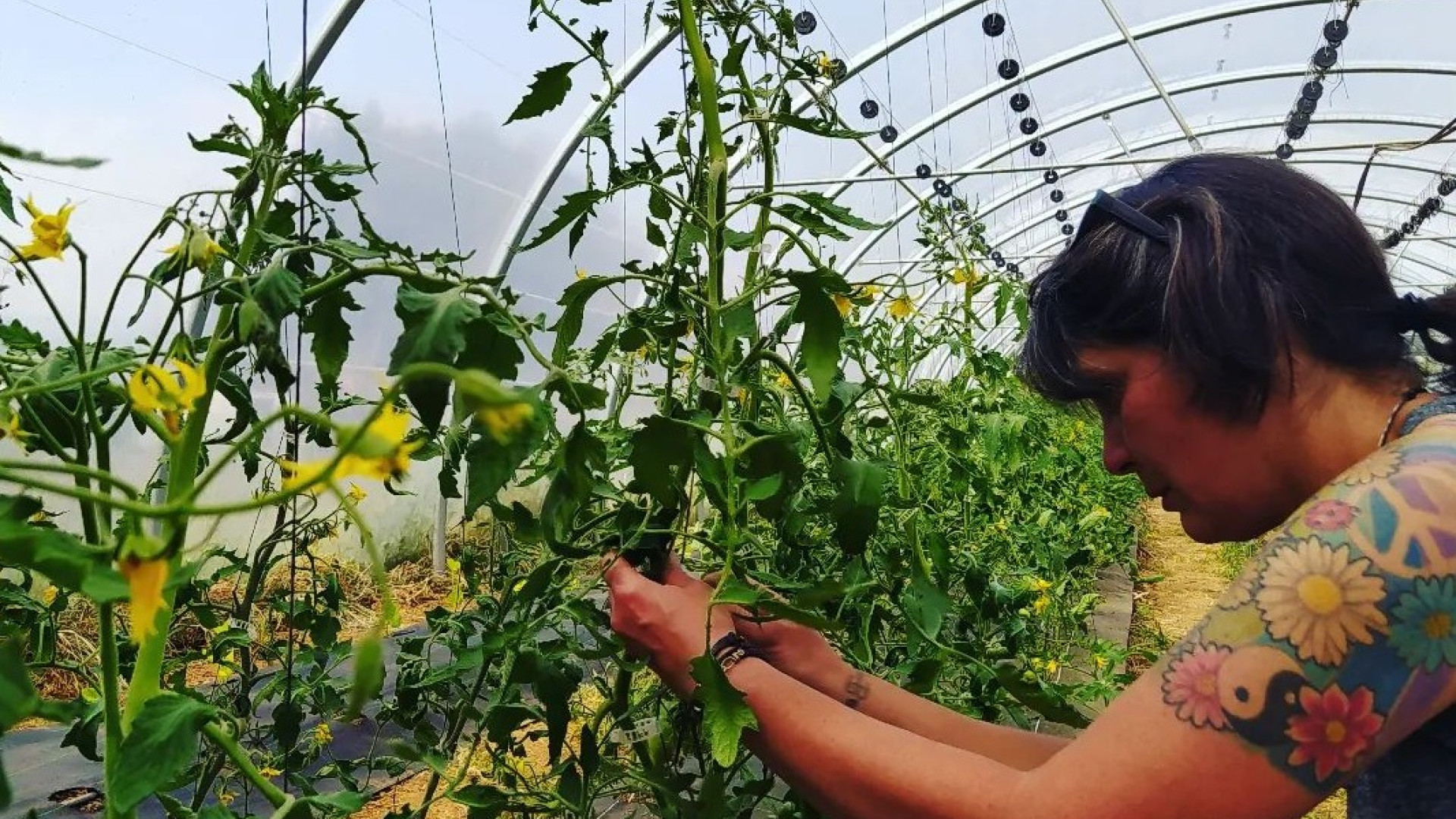 Sonia y Fran los nedenses que transforman sus productos agrícolas ...