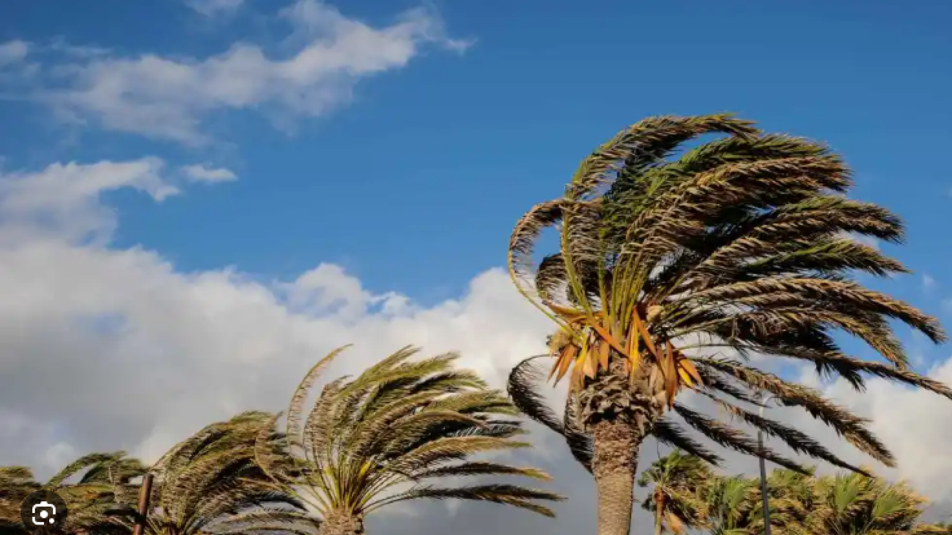 Alerta amarilla por viento en Alicante: se cierra el Castillo de Santa ...